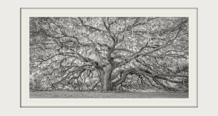 LexJet Welcomes National Sunset Print Award Winner Kari Douma | LexJet Blog